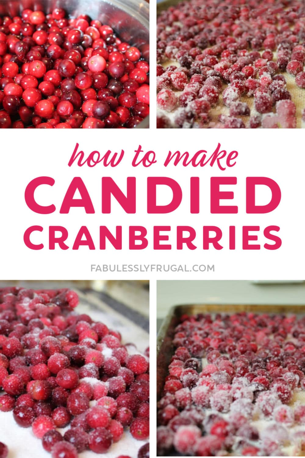 Candied Cranberries Recipe (Sugared Cranberries) - Fabulessly Frugal