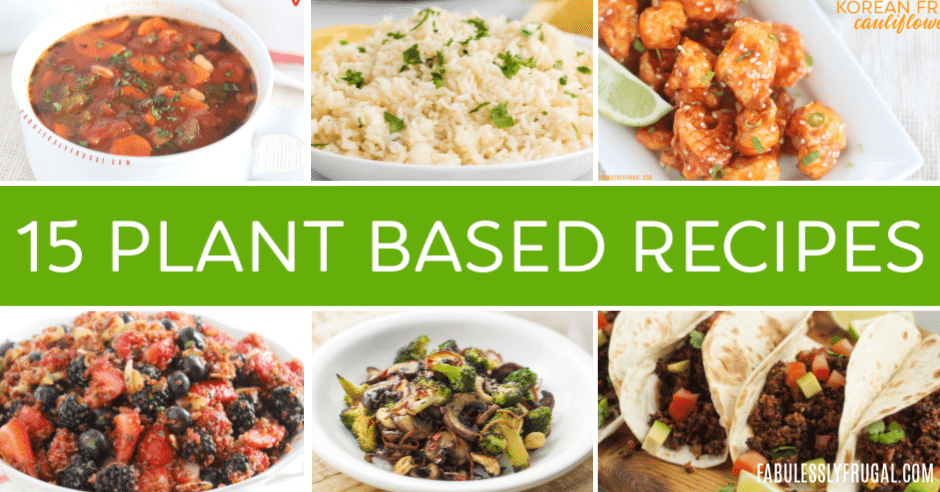 15 Healthy Plant-Based Recipes (Beginner-Friendly) - Fabulessly Frugal