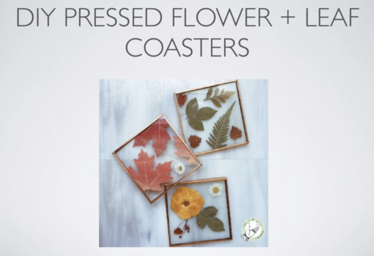 Make 7 Fun Fall Crafts With Real Leaves - Fabulessly Frugal