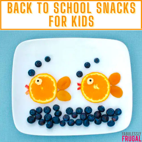 Easy, Healthy, and Delicious Back to School Snack Ideas & Recipes ...