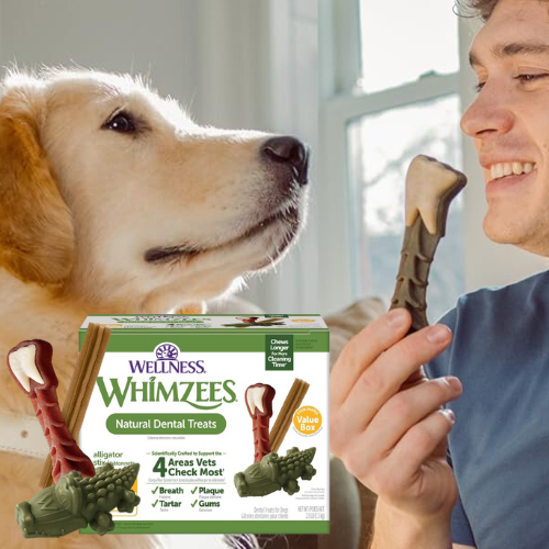 Skip Toilet Paper with the Tushy! - Fabulessly Frugal