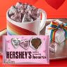 HERSHEY’S Milk Chocolate Hearts Valentine’s Day Candy Bag $3.97 Each ...